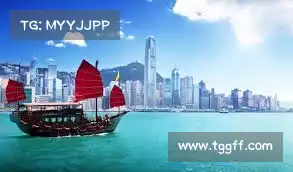 服务方向 | 轻蜂加速器｜连接世界，更快一步