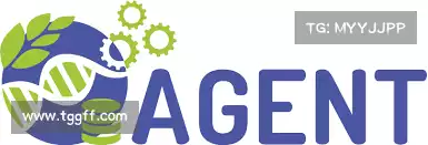 精品项目 | 轻蜂加速器｜连接世界，更快一步